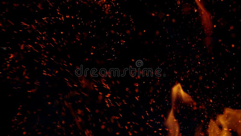 Floating Fire Embers