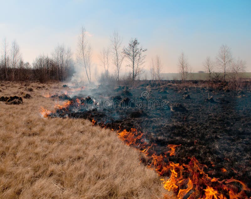 Fire stock photo. Image of front, shot, flame, lifestyle - 51762172