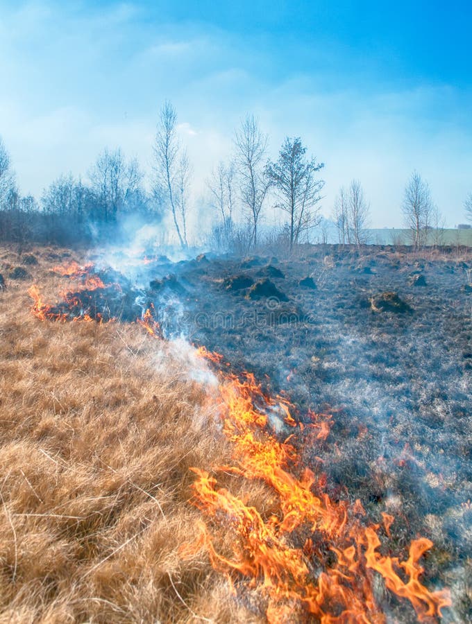 Fire stock photo. Image of field, spring, fire, heat - 87315452