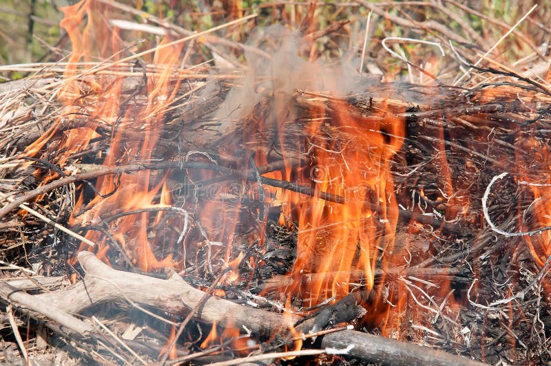 Fire stock image. Image of herb, meadow, foreground, burnt - 91075491