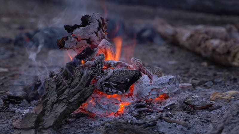 Fire. Spring Fire in the Forest. in the Evening, by the Fire in a ...