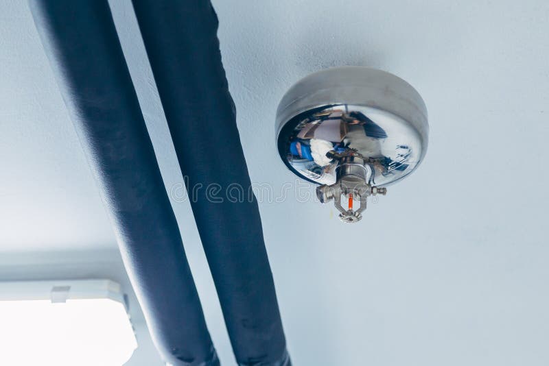 Fire Sprinkler Nozzle on Ceiling Stock Photo - Image of danger, conduit ...
