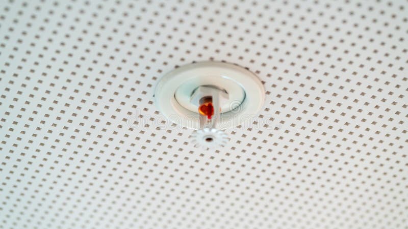 Fire Sprinkler on White Perforated Modern Ceiling in Office Building ...