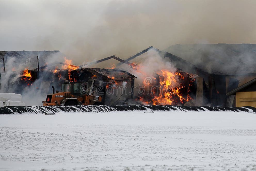 Fire at stable. editorial photo. Image of smoke, flames - 33336376