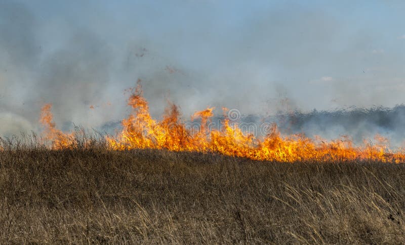 Fire in the Steppe, the Grass is Burning Destroying Everything in Its ...