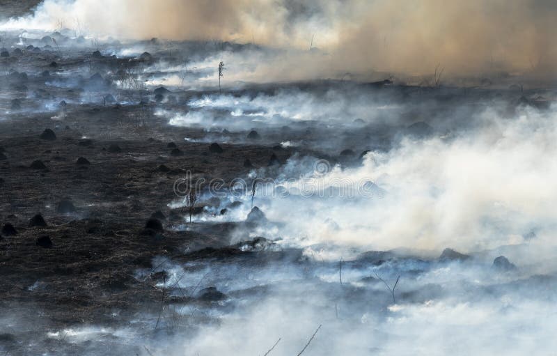 Fire in the Steppe, the Grass is Burning Destroying Everything in Its ...