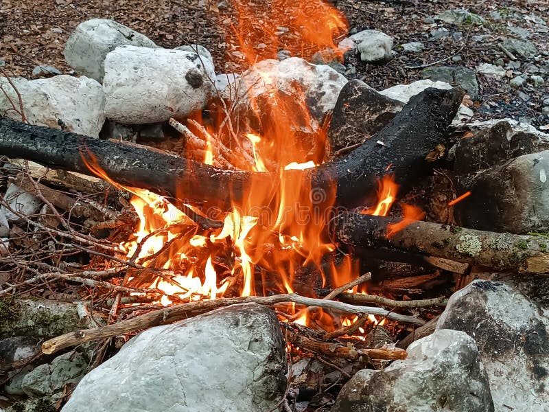 Fire among the Stones, in the Woods. Embers in the Open Air Stock Photo ...
