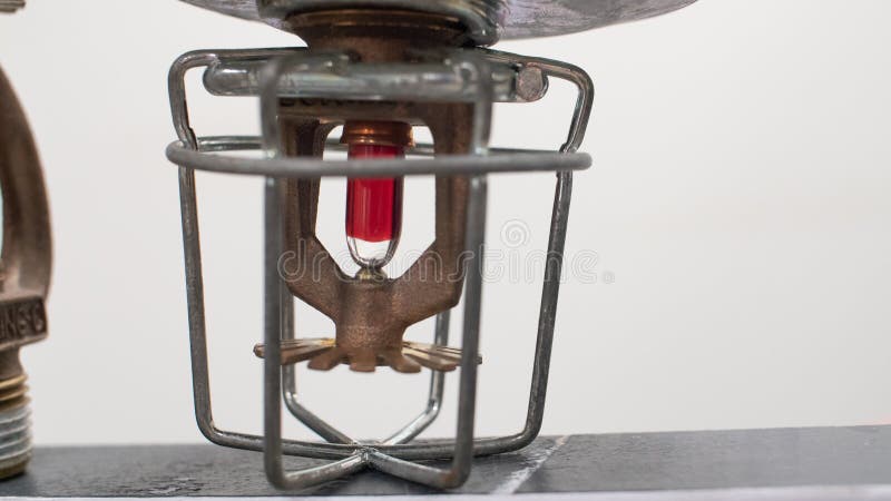Fire Sprinkler Heads with Fusible Links and Frangible Bulbs Stock Image ... Fire Sprinkler Heads with Fusible Links and Frangible Bulbs Stock Image ...