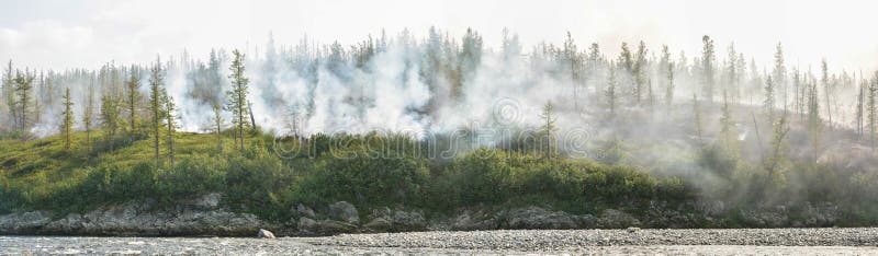 Fire in the taiga stock image. Image of flame, smoky - 162986803