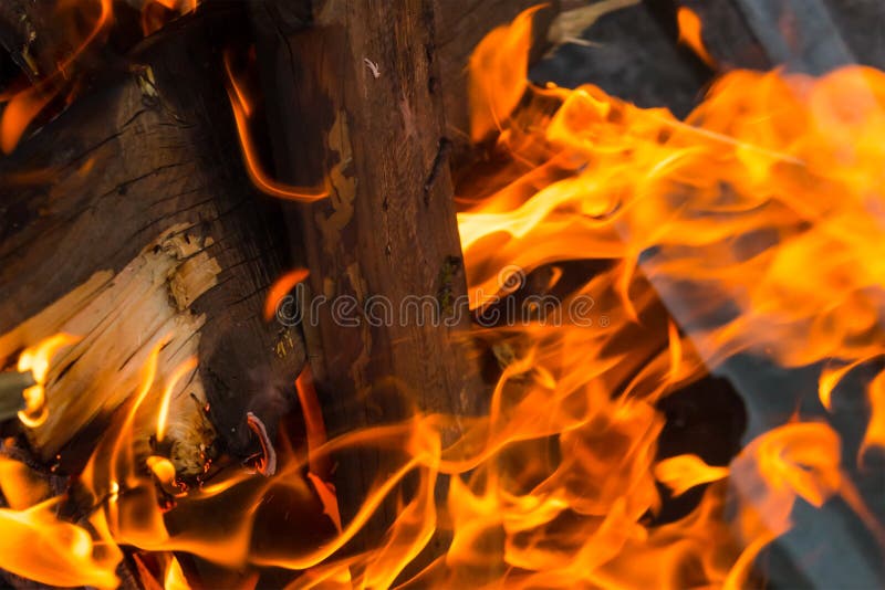 Fire Texture Close-up Background Burning Log Vertical Design Bright ...