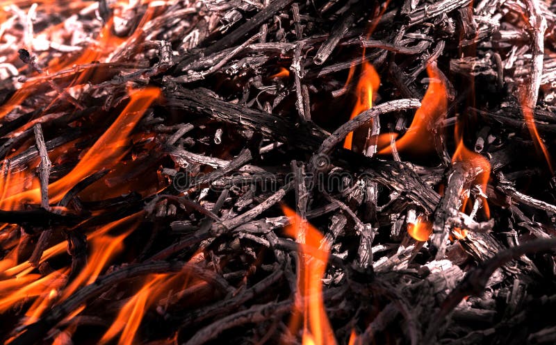 Fire Texture, Close-up. Background with Flame Stock Photo - Image of ...