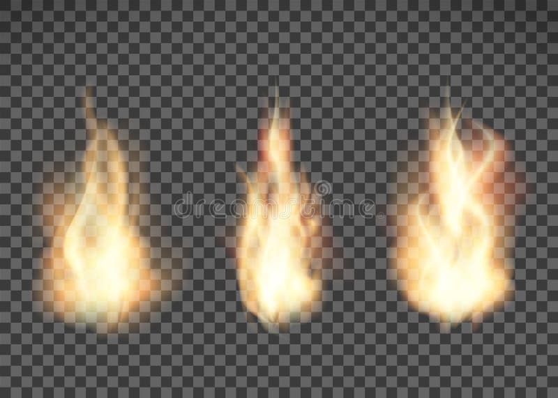 Flame Texture. Fire Isolated on Transparent Background Stock Vector - Illustration of bright ...