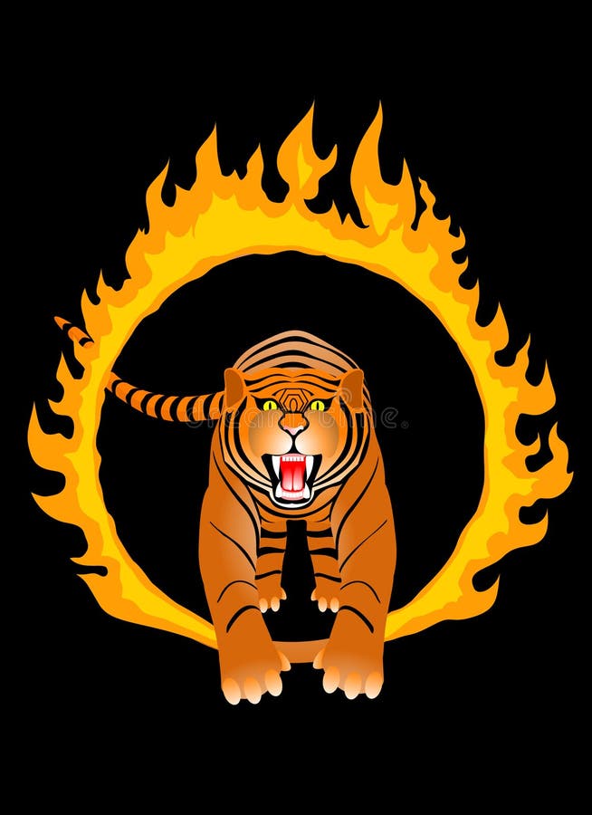 Tiger Jumping through a Hoop of Fire. Stock Vector - Illustration of ...