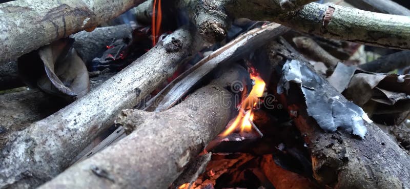 Fire To Burn Fish To Survive Stock Photo - Image of invertebrate ...