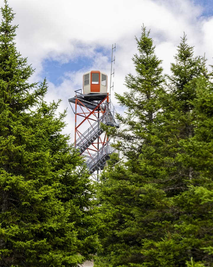 Fire tower stock image. Image of labrador, observation - 396406239