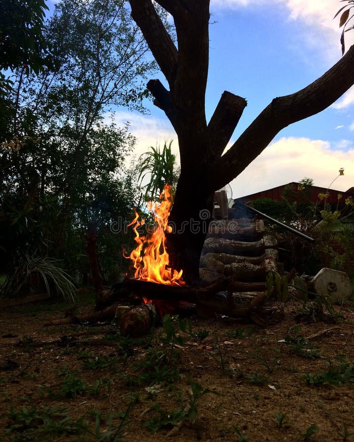 Fire up stock image. Image of fire, nature, woods, burn - 99282477