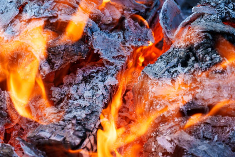 Fire Up Close, Burning Wood, Burning Flames Stock Photo - Image of ...