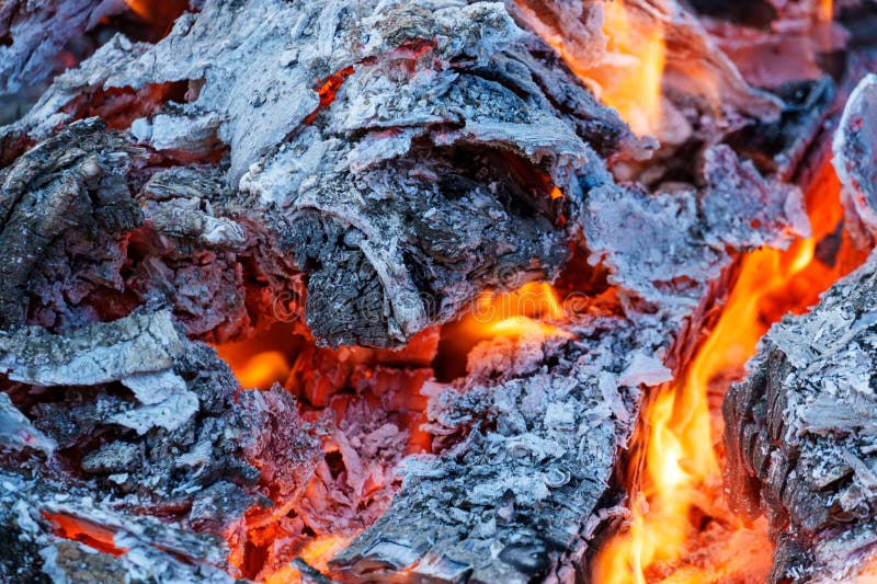Fire Up Close, Burning Wood, Burning Flames Stock Image - Image of ...