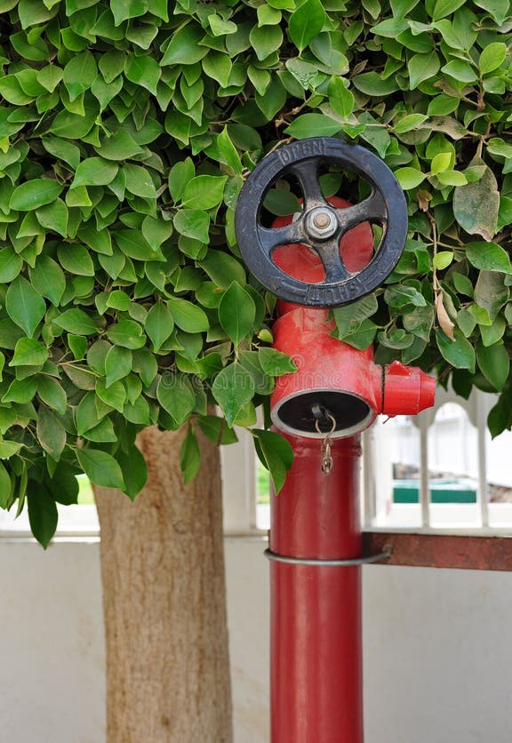 Fire valve. stock photo. Image of safe, prevention, means - 19156076