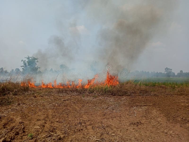 The Fire Was Caused by the Burning of the Fields Stock Photo - Image of ...