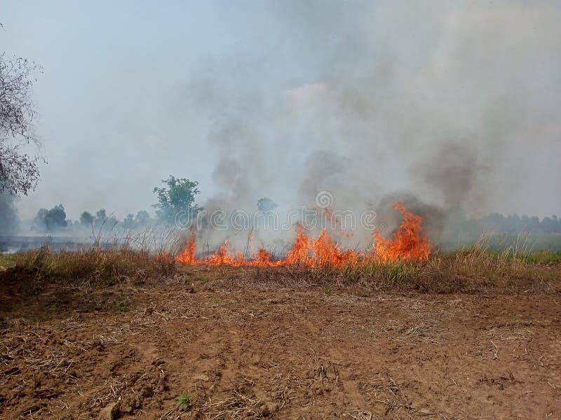 The Fire Was Caused by the Burning of the Fields Stock Photo - Image of ...