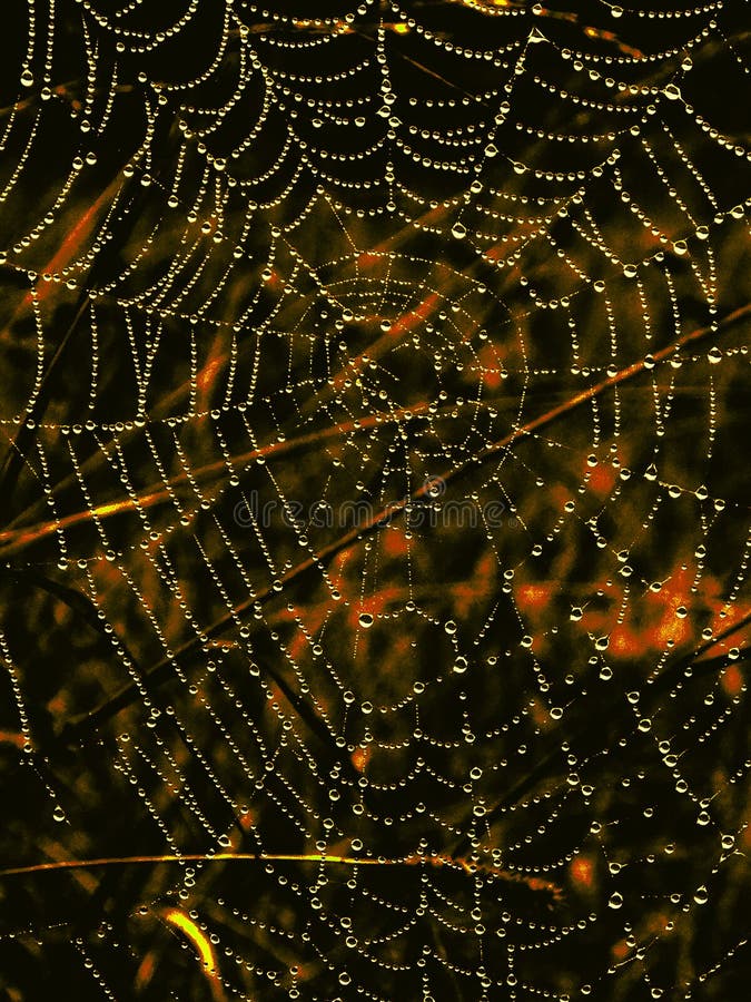 Fire web for Halloween stock photo. Image of abstract - 195703934