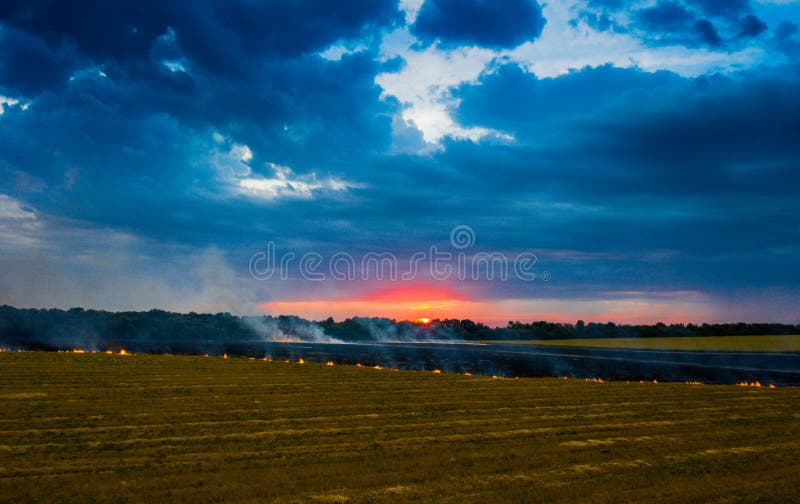 A fire in a wheat field stock photo. Image of plain - 194514102