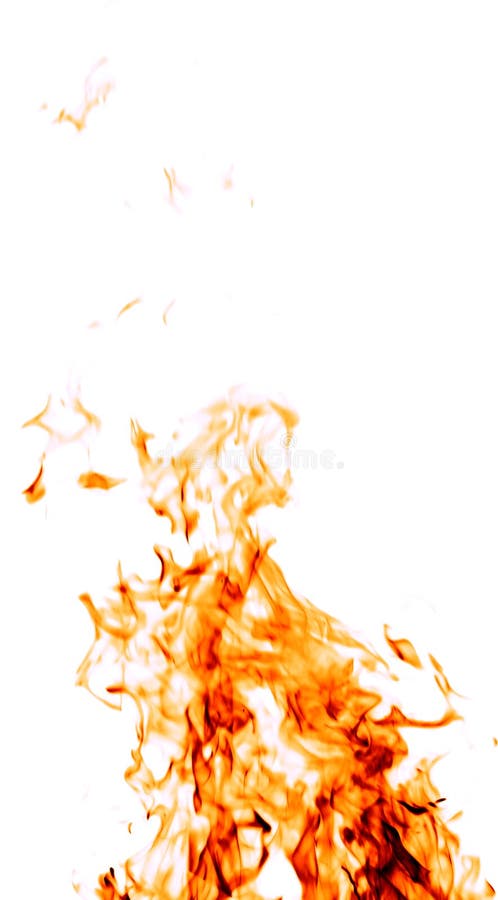 Fire Isolated on White Background. Stock Photo - Image of black ...