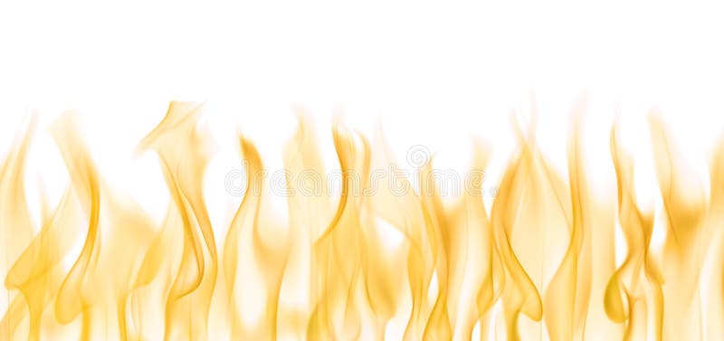 Fire on white background stock photo. Image of warm, isolated - 8509576