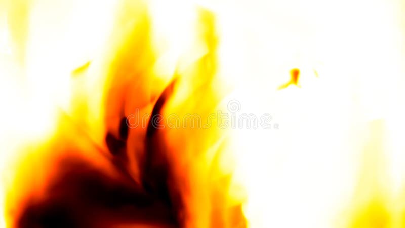 Fire White Background stock illustration. Illustration of burning ...
