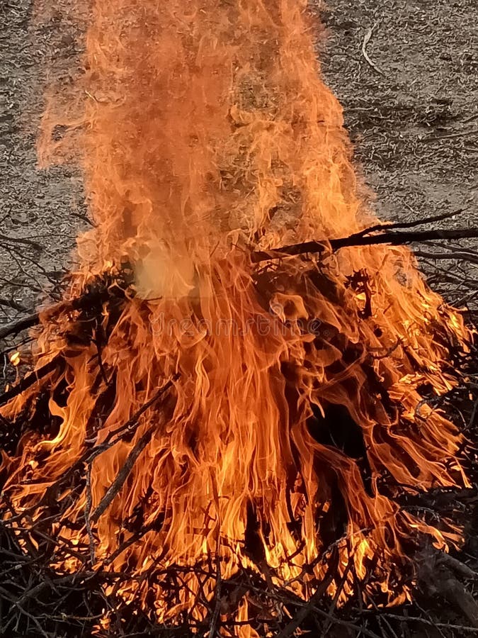 Fire at Winter stock photo. Image of agni, taap, winter - 169855046