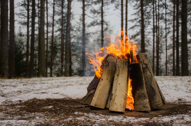 Fire in the winter forest stock image. Image of equipment - 54539991