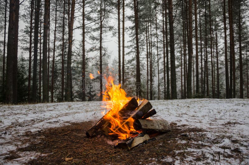 Young woman in a hayloft stock image. Image of barn, agriculture - 36154659