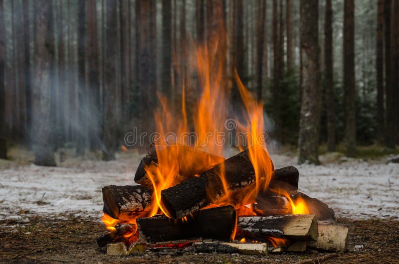 Fire in the winter forest stock photo. Image of midsummer - 54540256