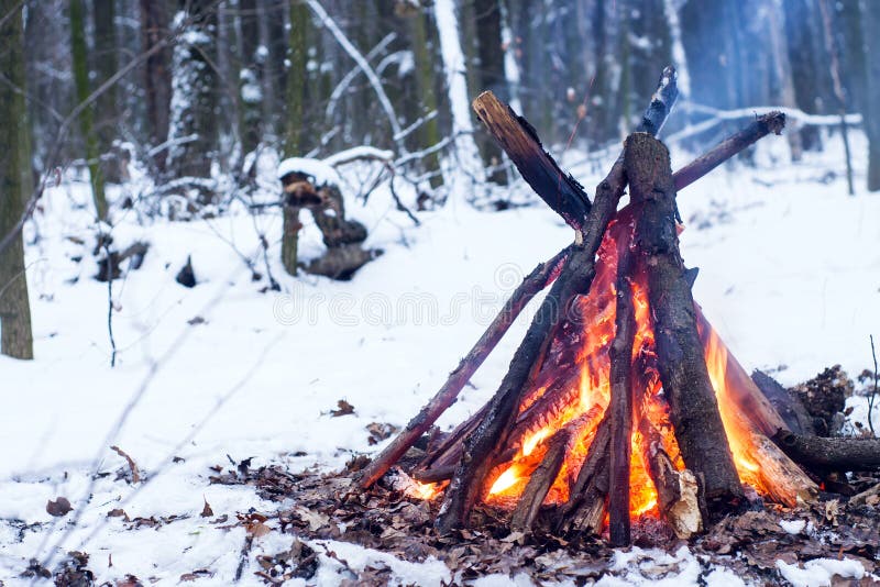 Fire in the winter forest stock image. Image of burn - 82977429
