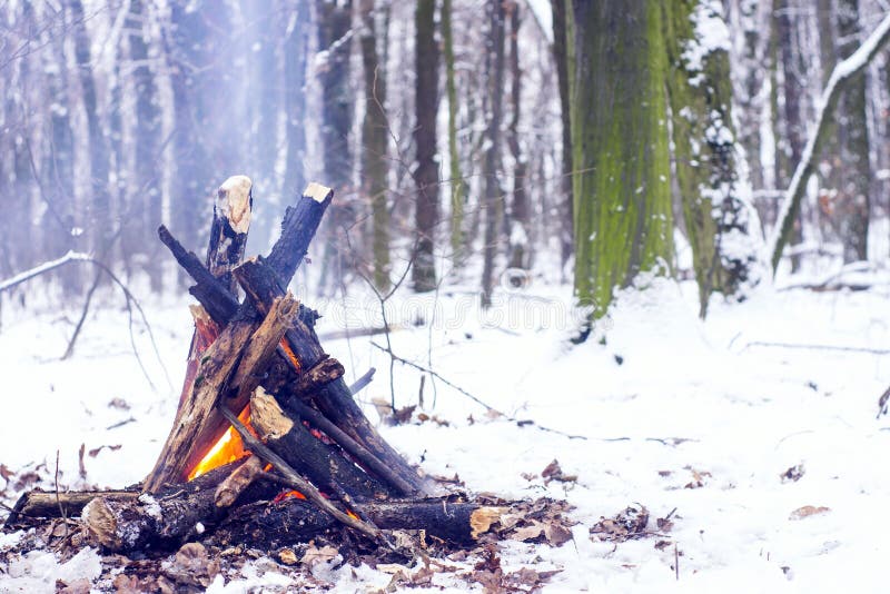 Fire in the winter forest stock image. Image of beauty - 82978421