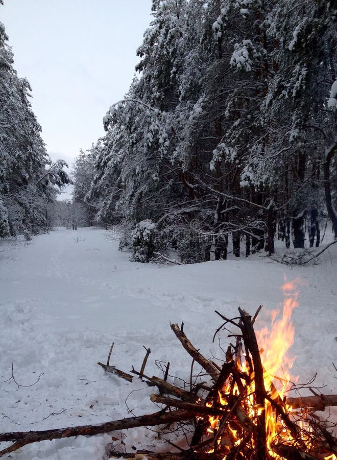 Fire in winter forest stock photo. Image of heat, cloud - 84139606