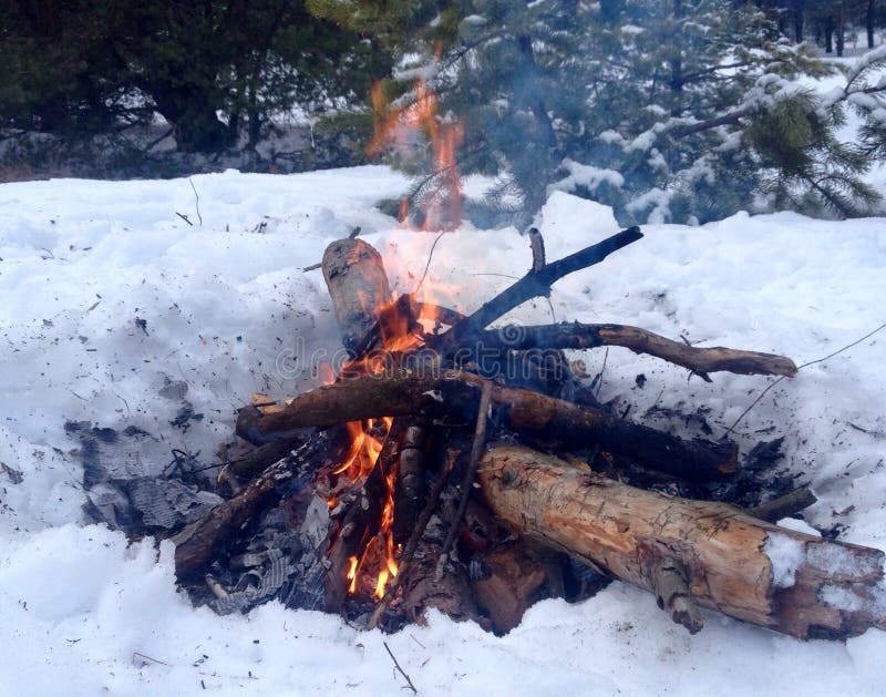 Fire in winter forest stock photo. Image of dusk, fire - 84253462