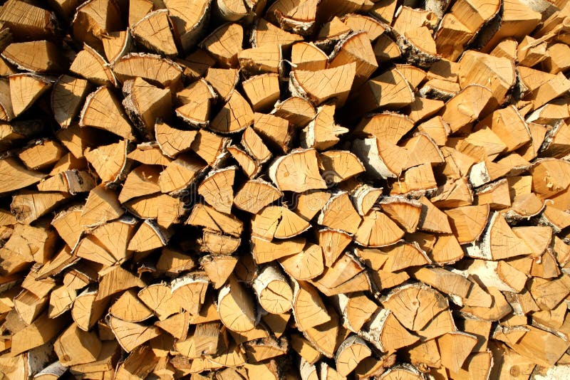 Fire wood stock photo. Image of sunshine, birch, fire - 10314852