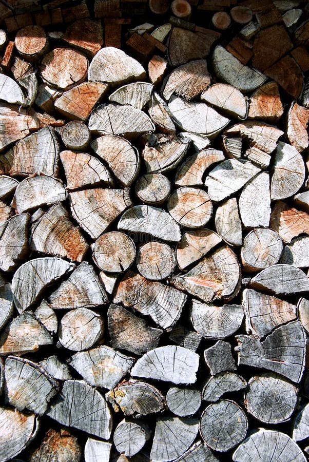 Fire wood stock photo. Image of tree, wooden, arranged - 21040936