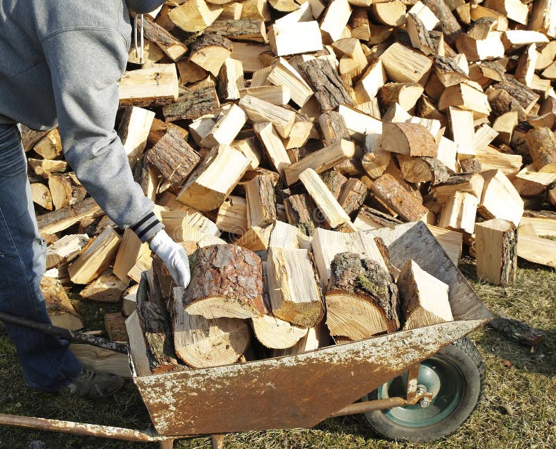 Fire wood stock image. Image of wood, firewood, size - 29637783