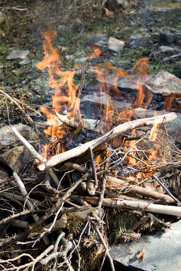 Fire in wood stock image. Image of picnic, beauty, rest - 4459011