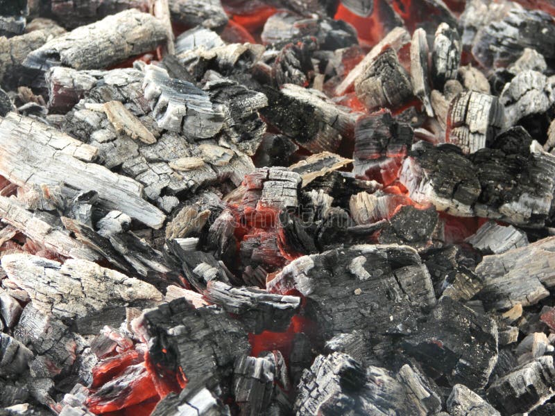 Fire Wood Ashes Picture. Image: 5169839