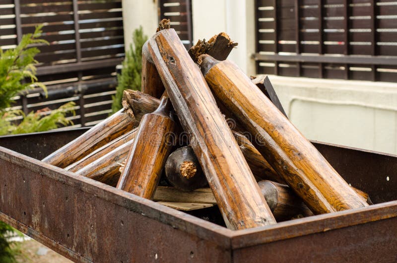 Fire wood stock photo. Image of pile, coniferous, ready - 31881932