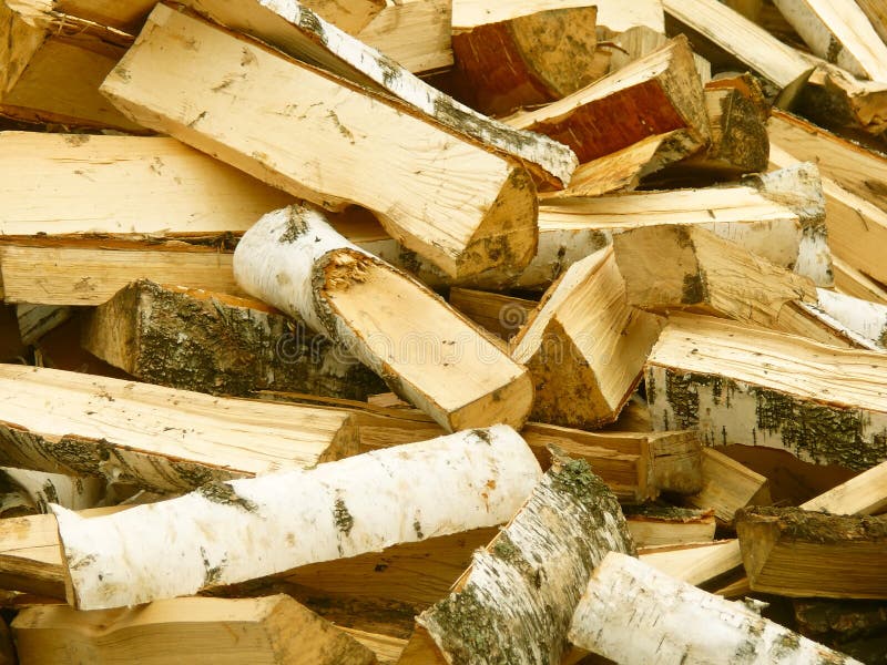 Fire wood birch stock image. Image of abstract, fuel, deciduous - 7722451