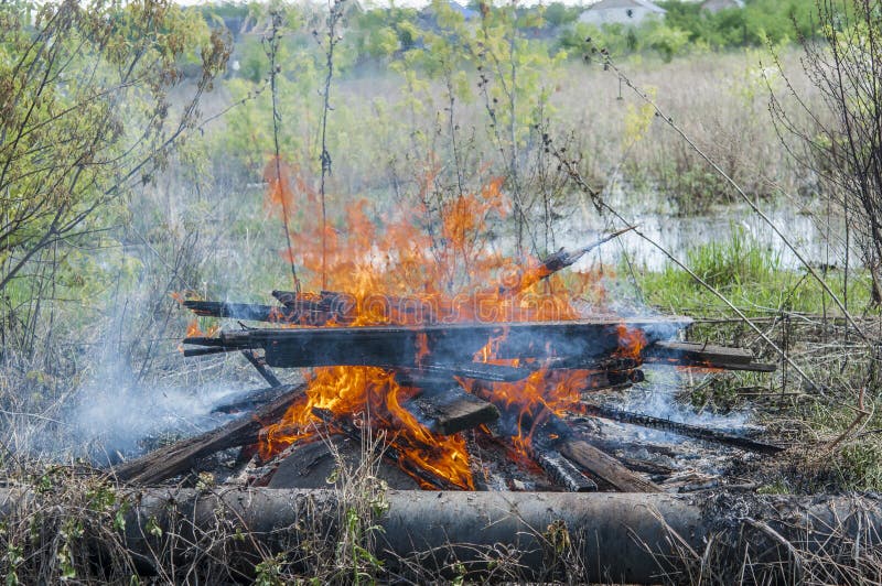 Fire wood stock photo. Image of burn, flame, bright, flames - 71846882