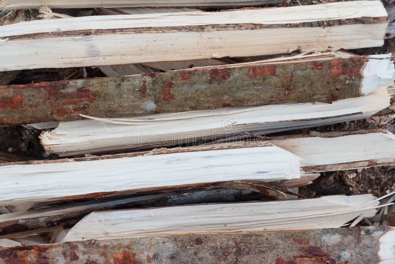 Fire wood stock photo. Image of industry, food, rural - 49532006