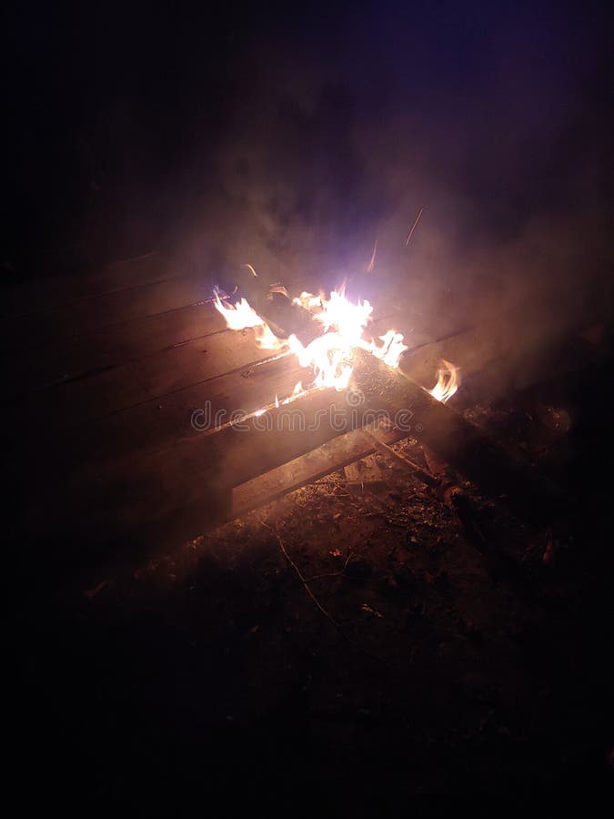 Fire Wood Pallets Beer Night Stock Image - Image of circle, quail ...