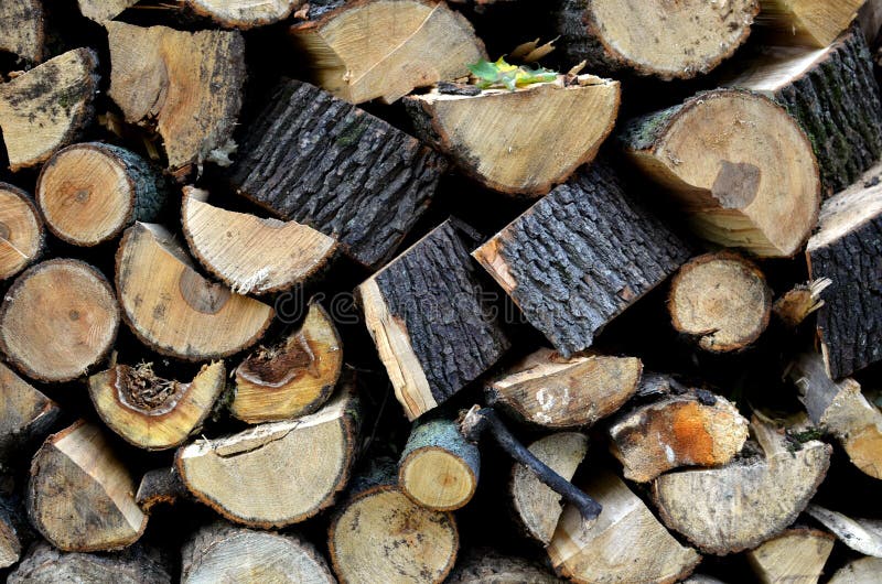Closeup of Stacked Logs for Firewood, Environmental Ecology Problems ...
