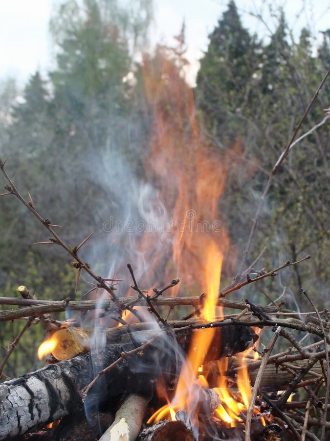 Fire in the woods stock image. Image of resource, life - 26926313